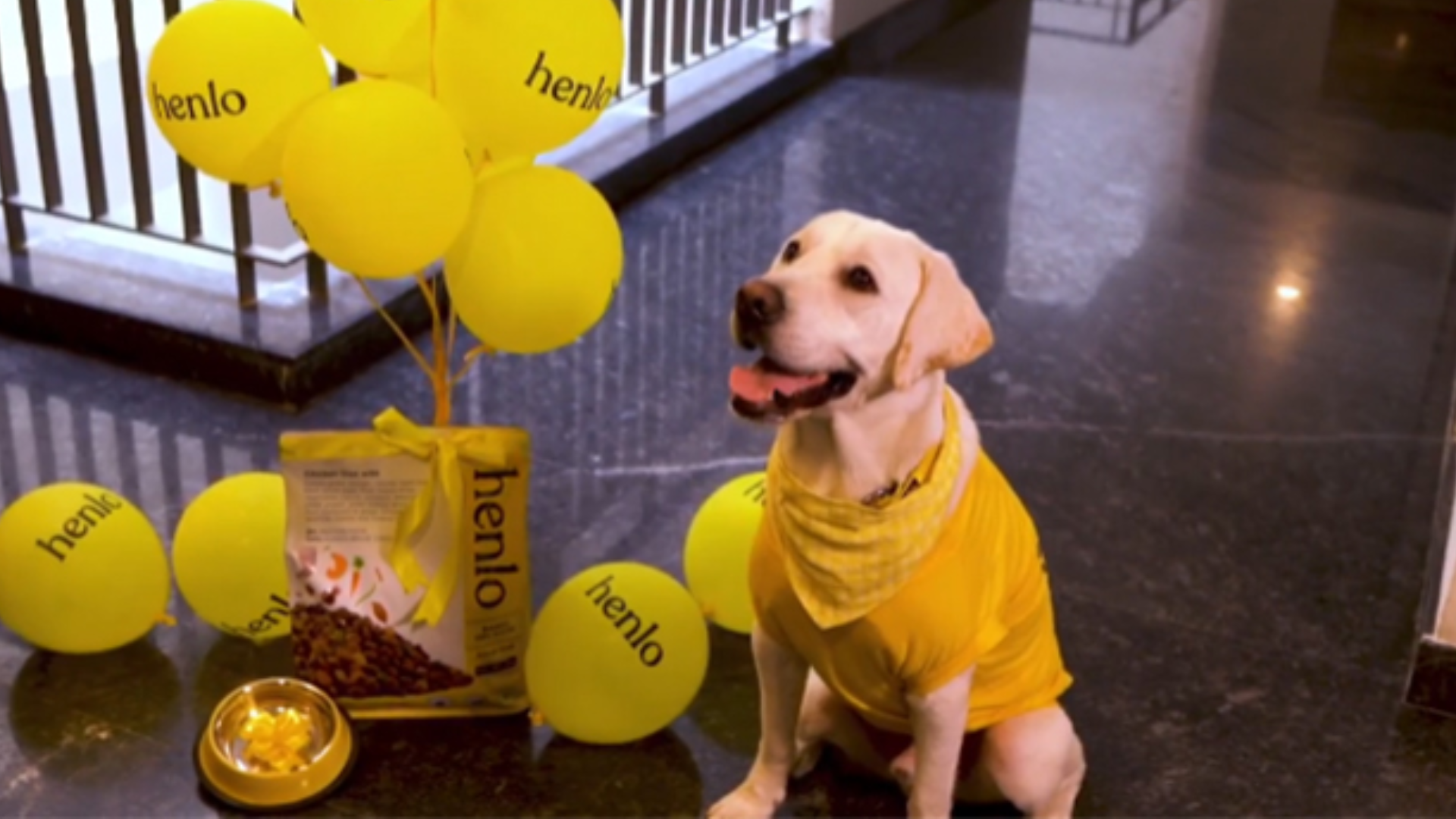 Supertails D2C Brand Henlo Unveils New Campaign, Surprising Pet Owners With Delivery Dog 'Milo ...
