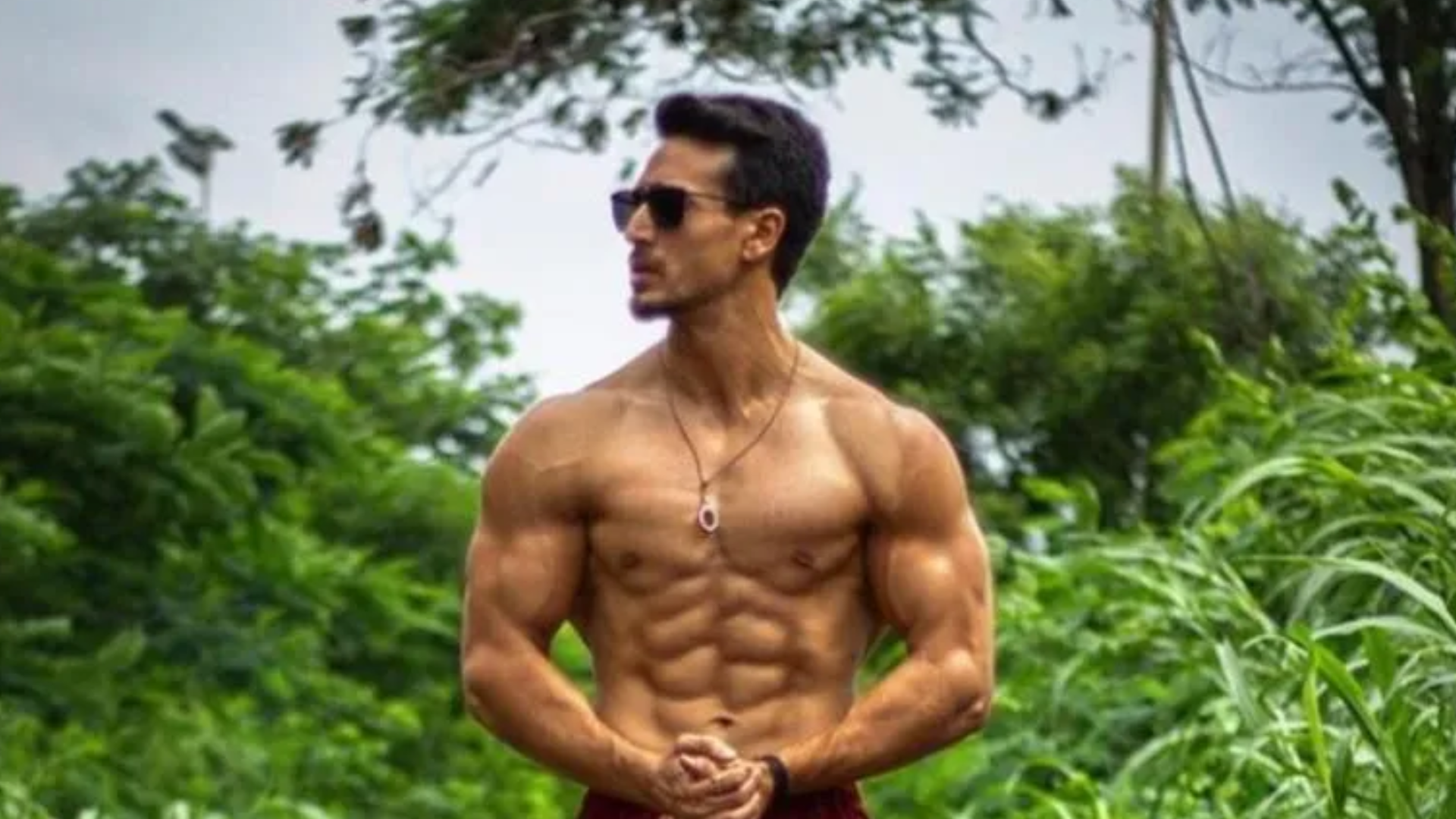 Get Ripped Like Tiger Shroff: Build Defined Abs With This Vegan Plant ...