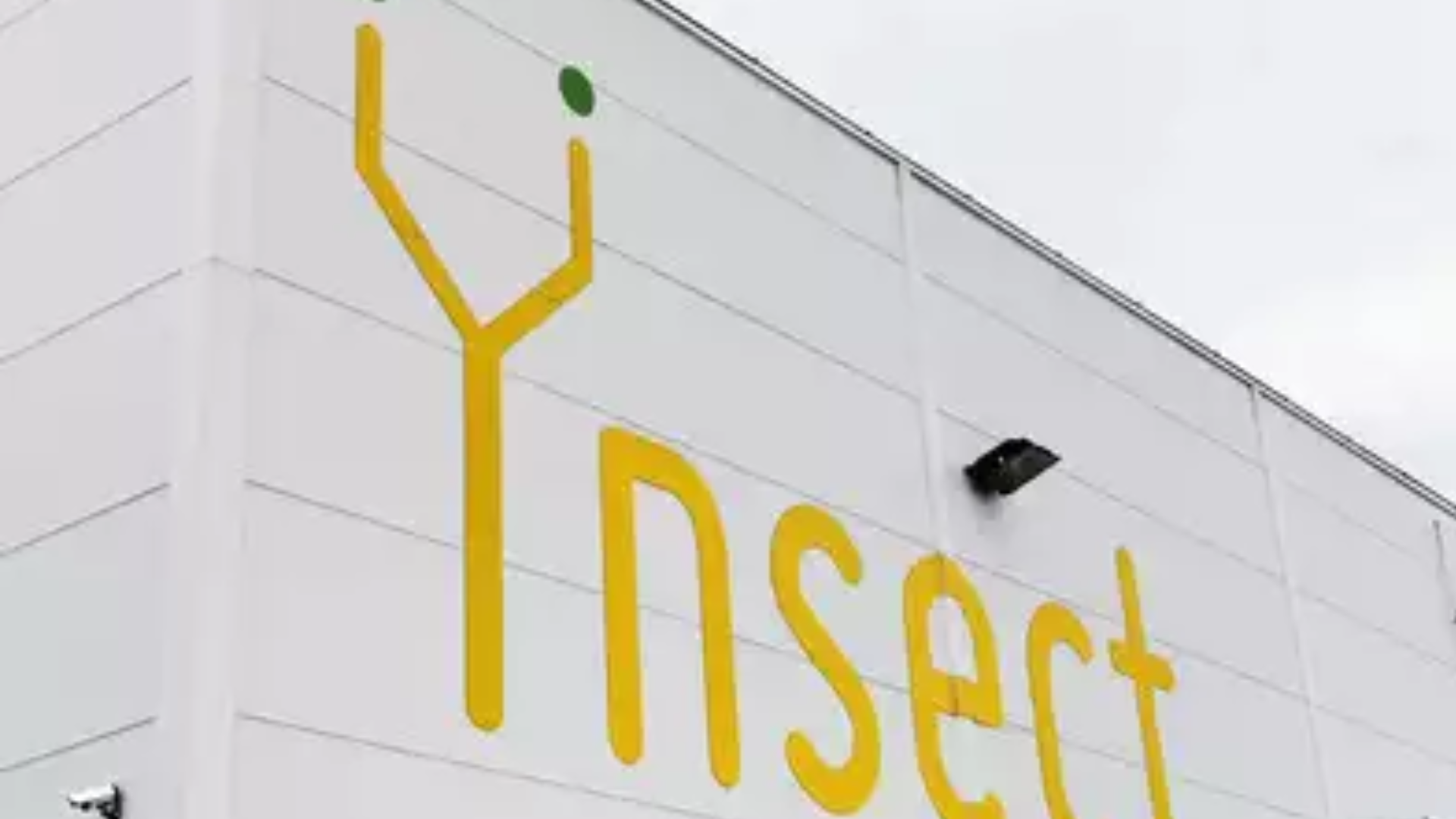 Insect Farming Startup Ynsect Raises $175 Million To Expand High-value ...