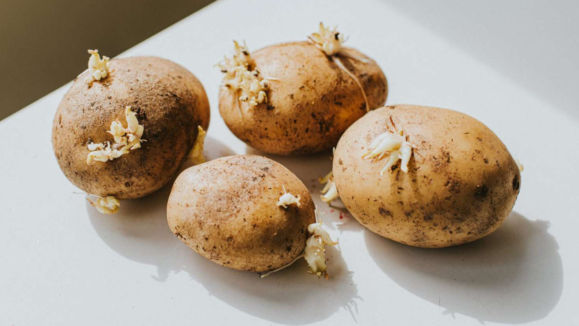 Is It Safe To Eat Sprouted Potatoes? Here's What Experts Say - Snackfax