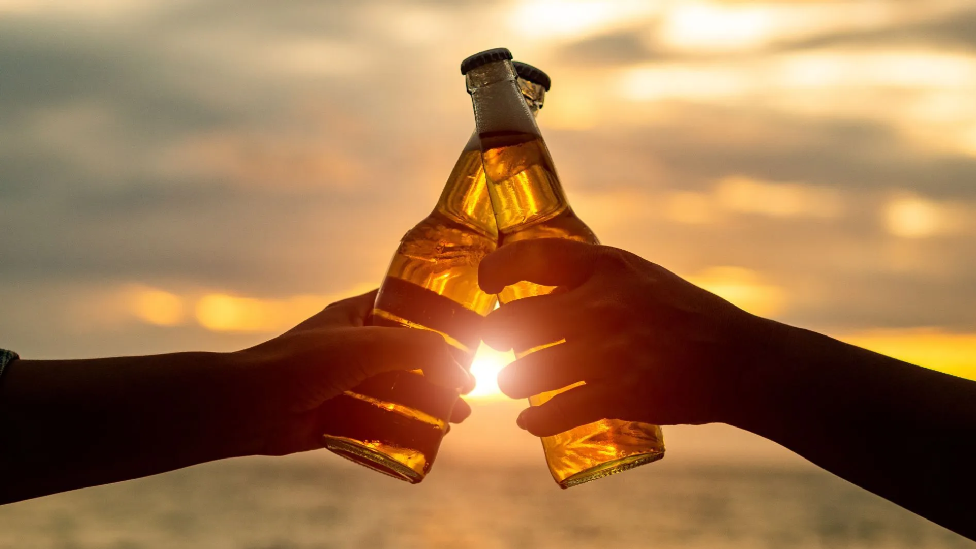 Sip Your Way To Bliss: Indulge In Goan's Finest Beers, Gins, And Exotic ...