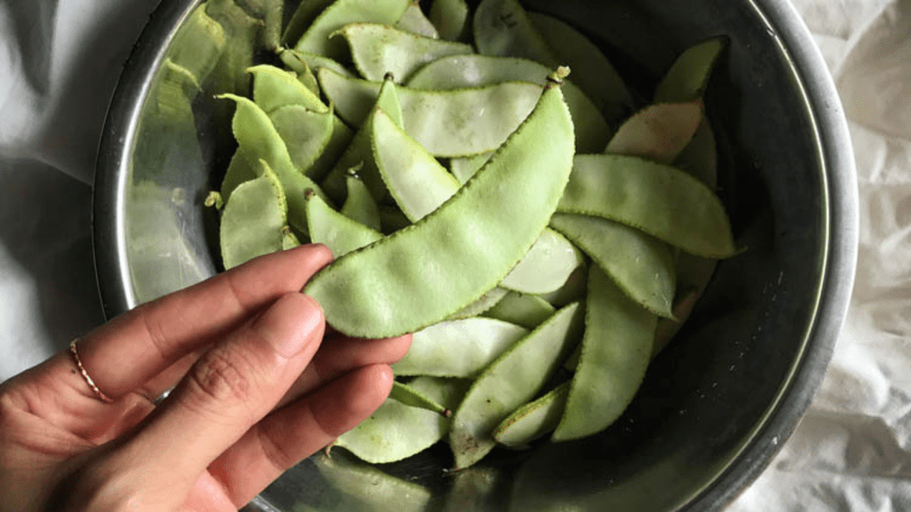 Discover The Powerful Health Benefits Of Hyacinth Beans In Your Daily ...