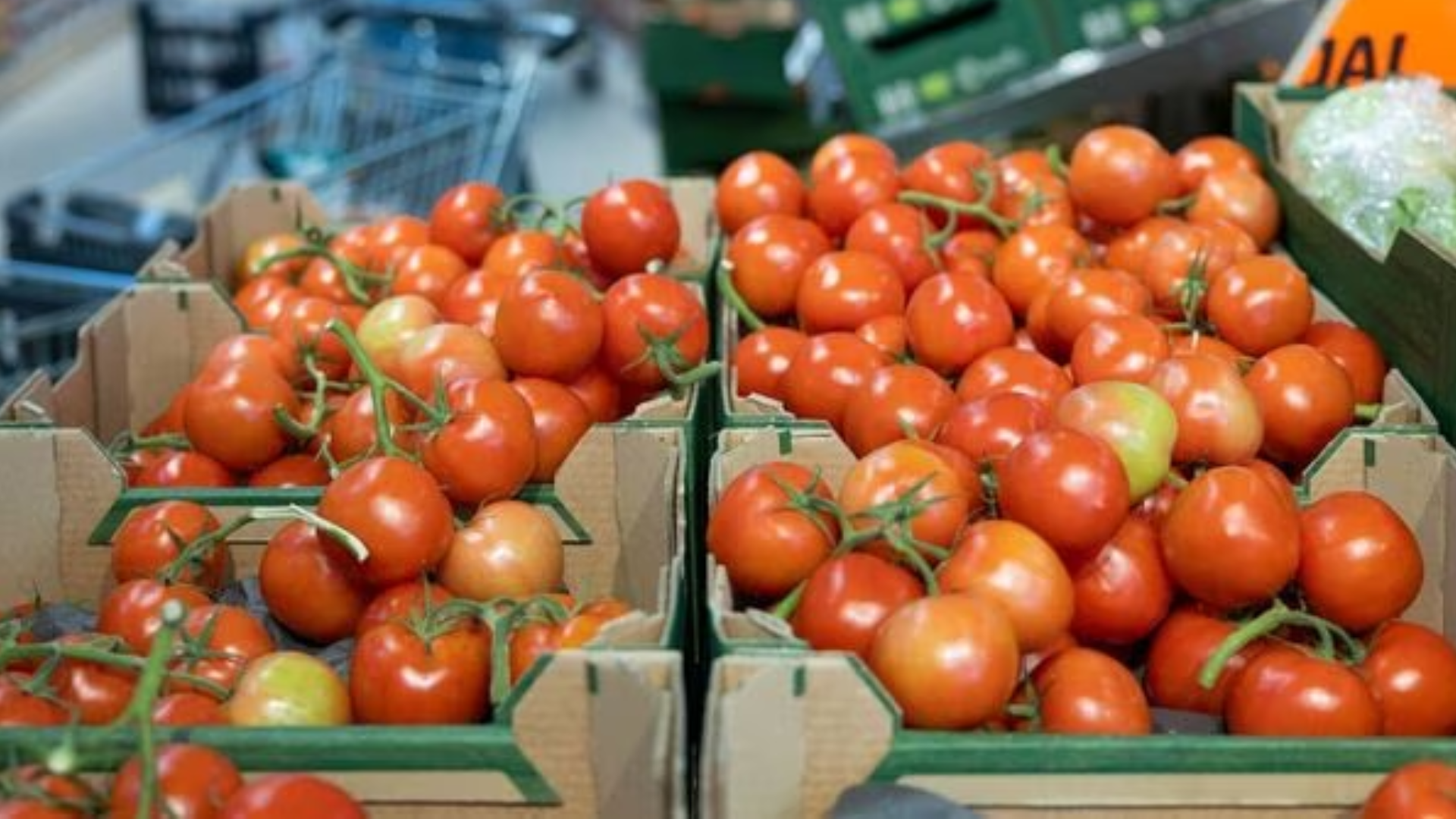 Tomato Prices At Mother Dairy's Safal Outlets Witness Alarming Surge ...