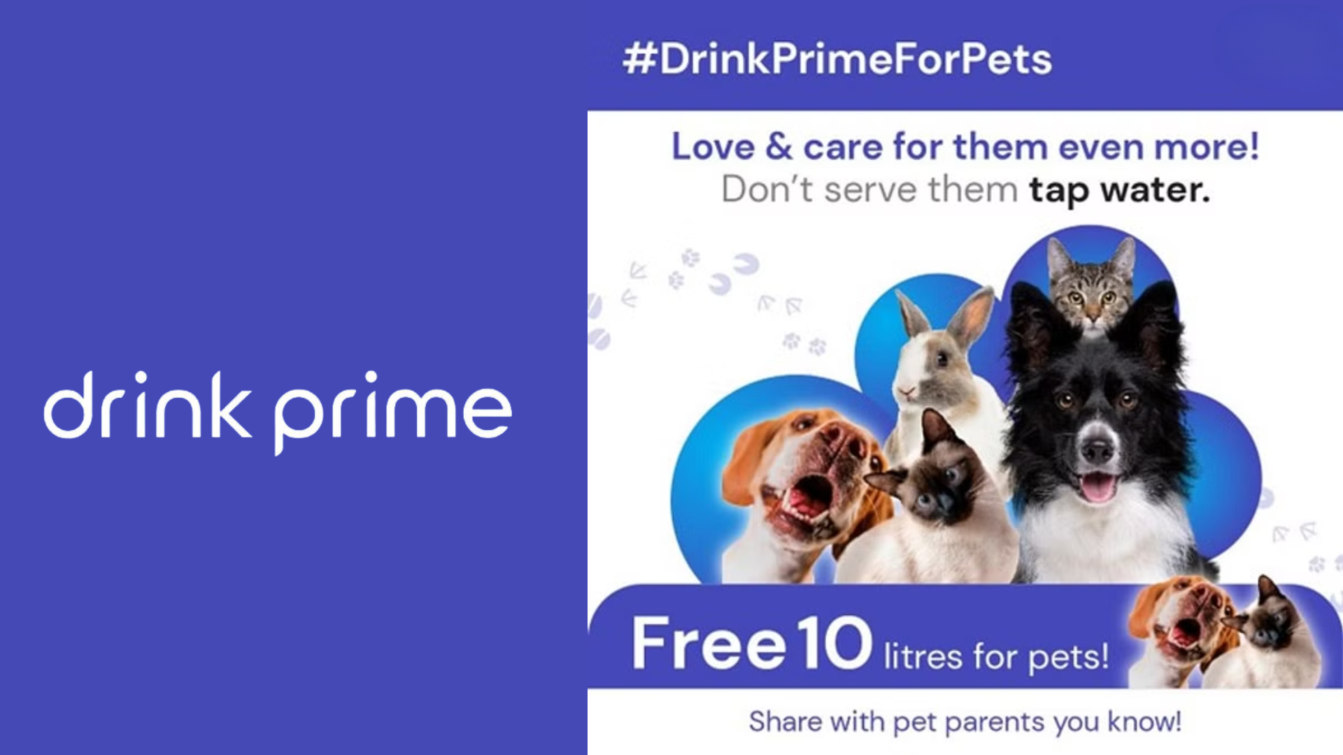 Bengaluru's DrinkPrime Introduces #DrinkPrimeForPets, Offering Free ...