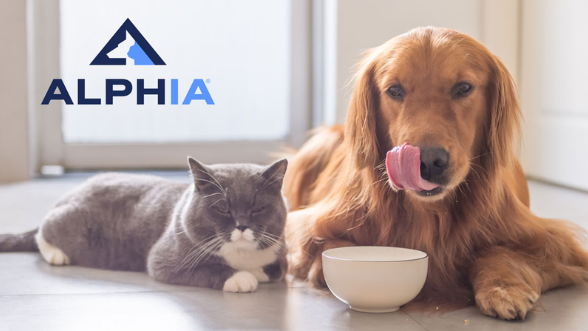 PAI Partners To Acquire Leading North American Pet Food Manufacturer ...
