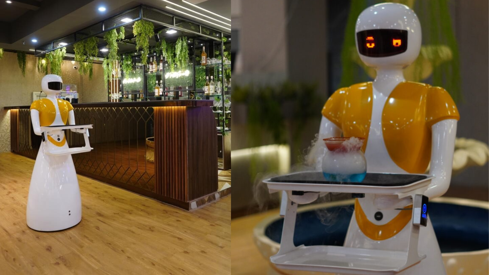 Dining Gets A Futuristic Twist In Lucknow With The Robot Restaurant ...