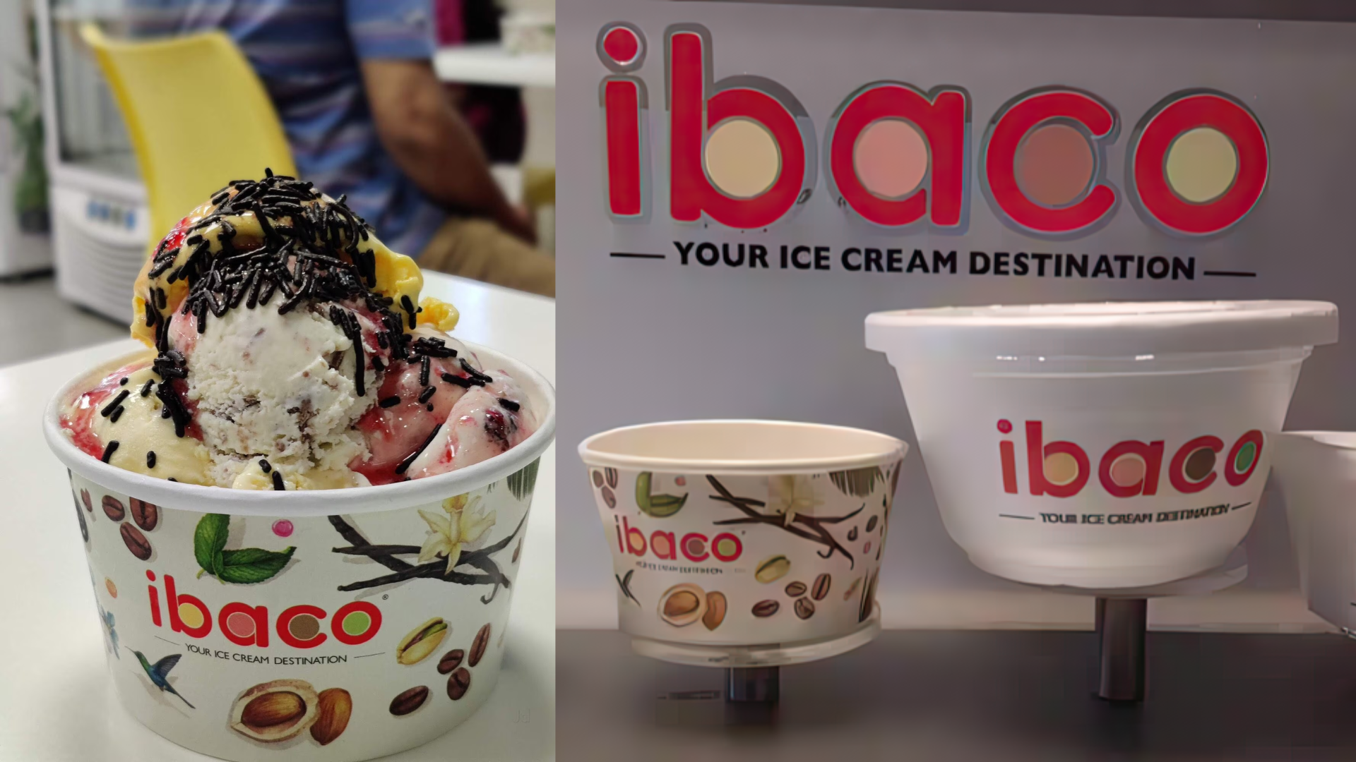 Hatsun Agro Products Aims For Global Expansion Of Beloved 'Ibaco' Ice ...