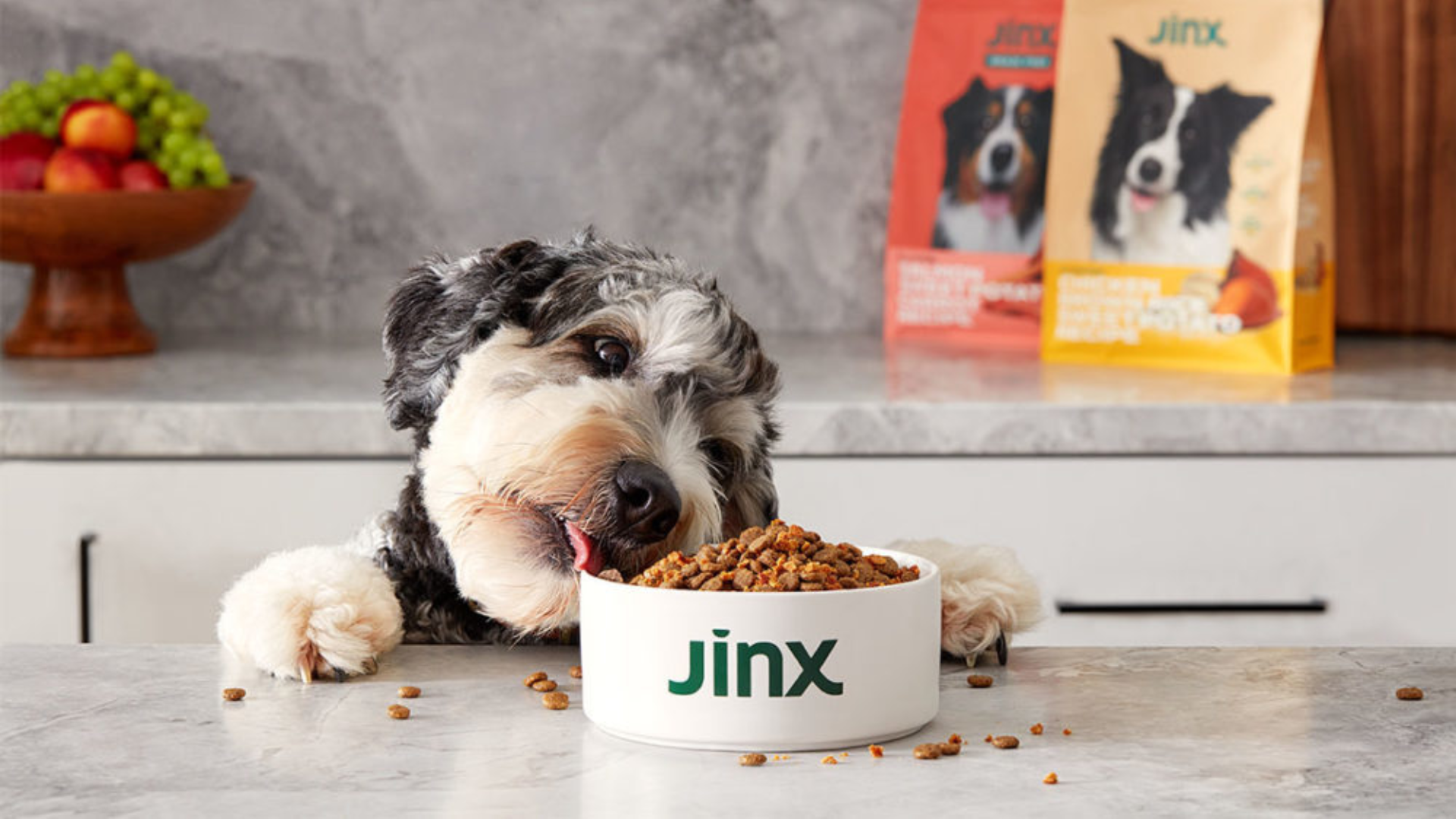 Dog Food Startup Jinx Secures $17.85 Million In Series B Funding To ...