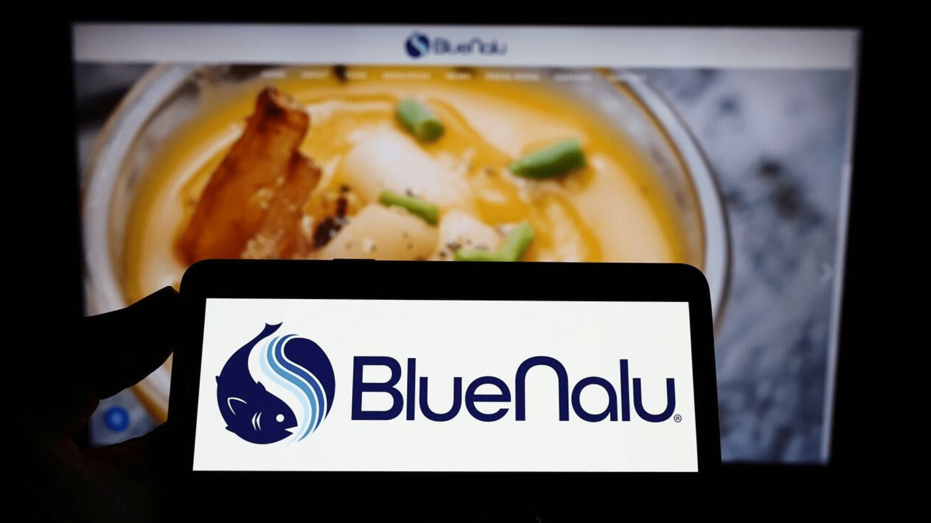 BlueNalu Raises $33.5 Million In Funding And Expands Strategic ...