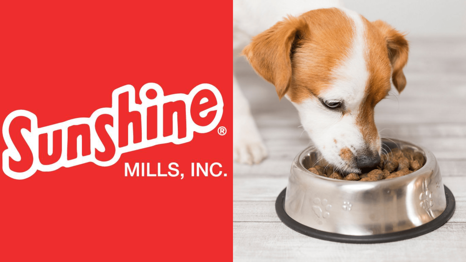 Sunshine Mills Boosts Production Capacity With Acquisition Of Red ...