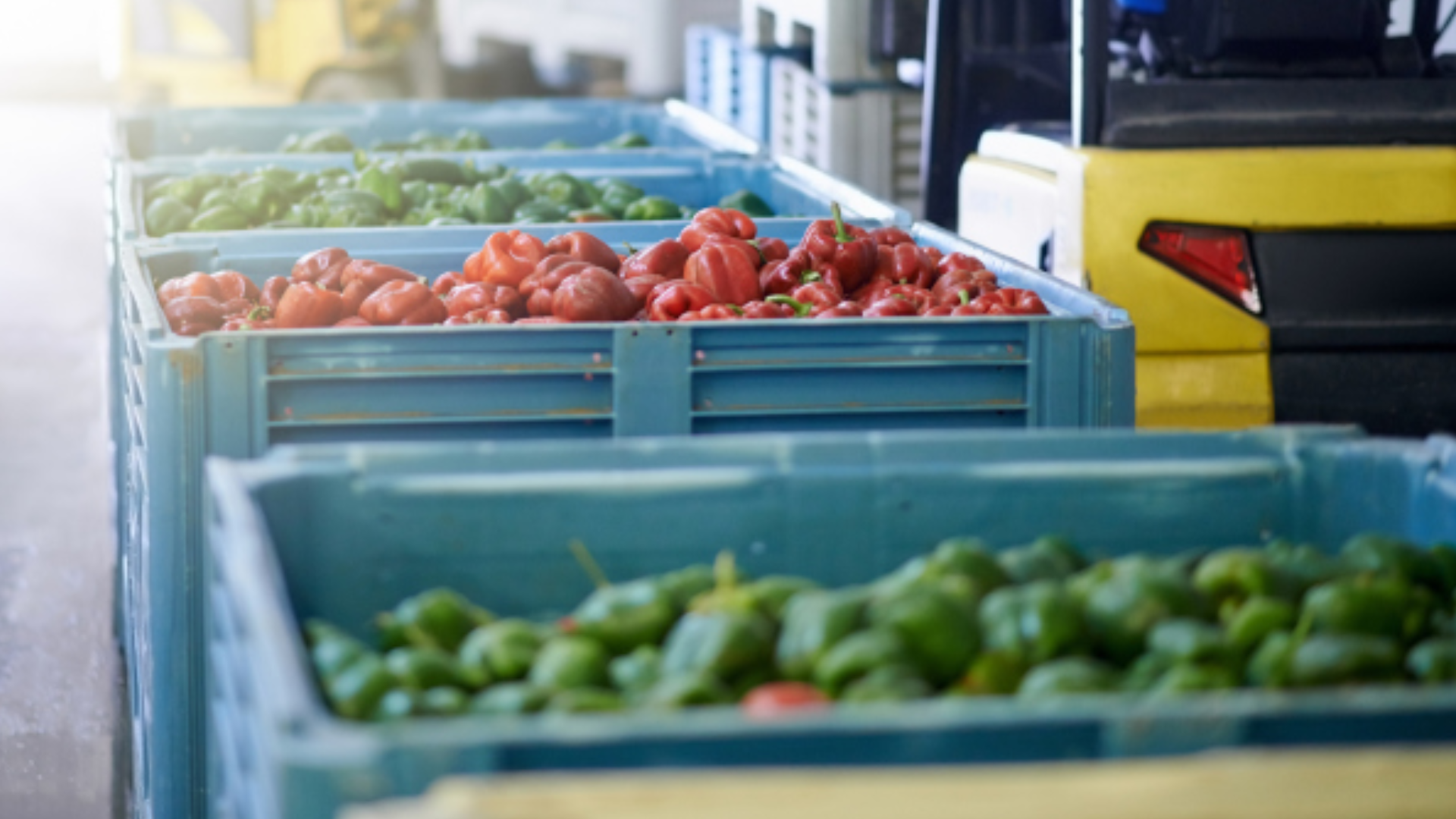 India's Ongoing Battle With Hunger: The Urgency Of Modernizing Food ...