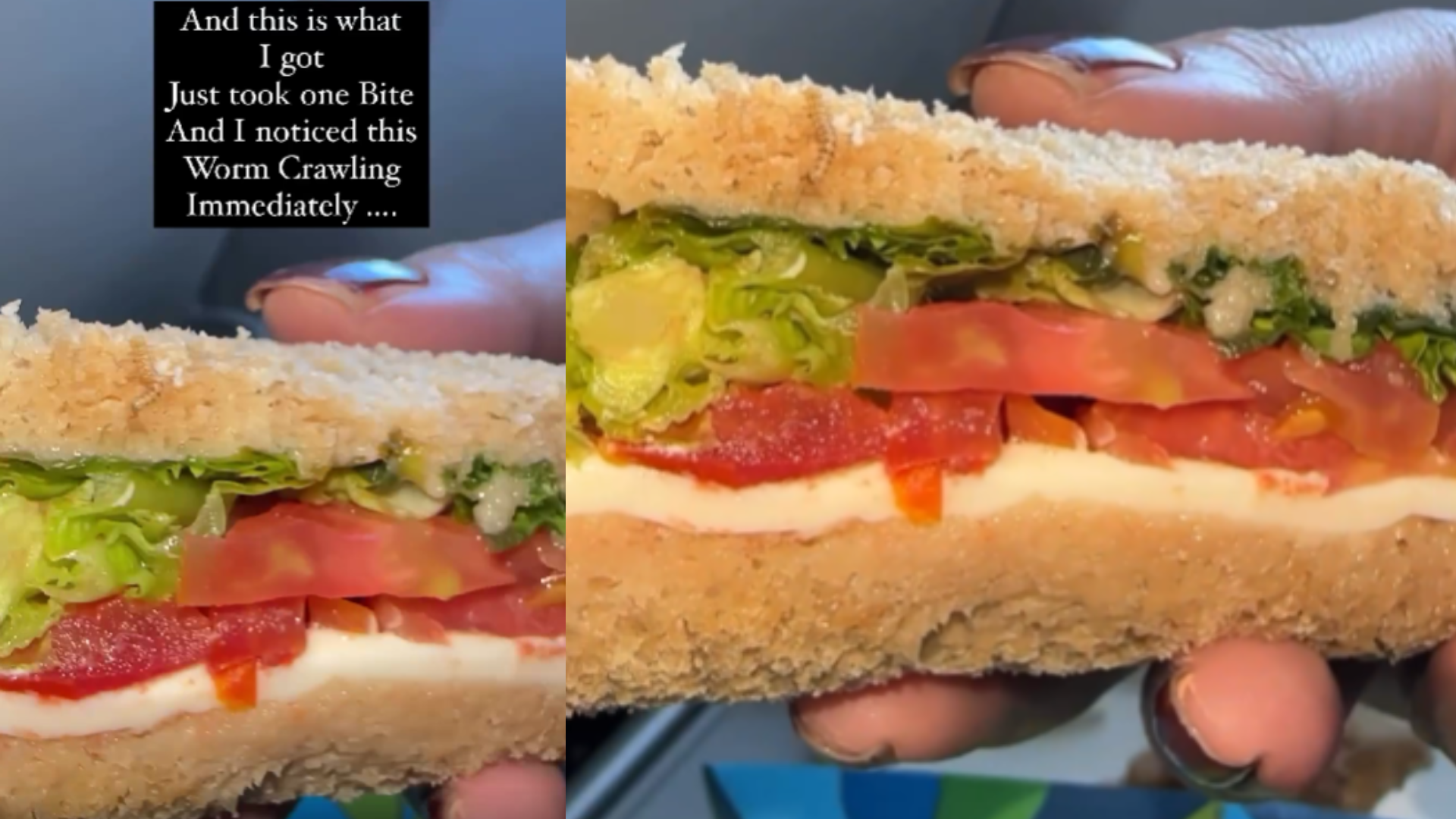 Indigo Passenger's Unpleasant Surprise: Live Worm Found Crawling In Veg ...