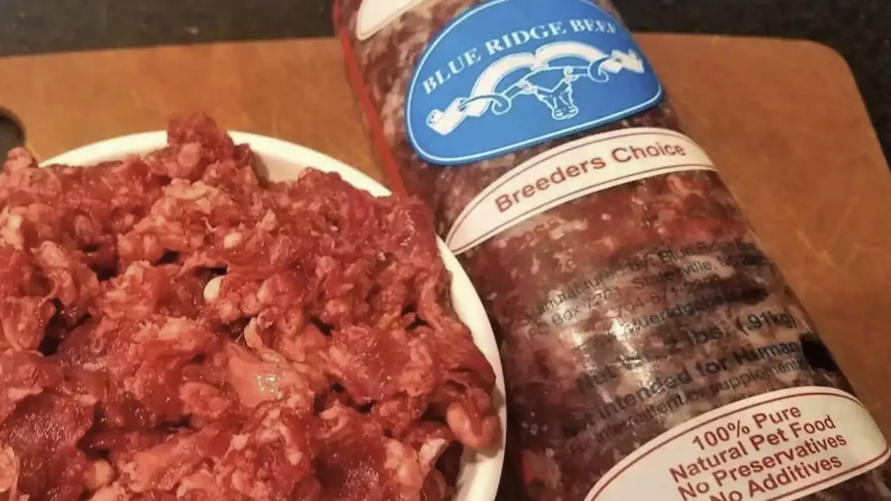 Blue Ridge Beef Recalls Kitten And Puppy Food Over Salmonella And ...