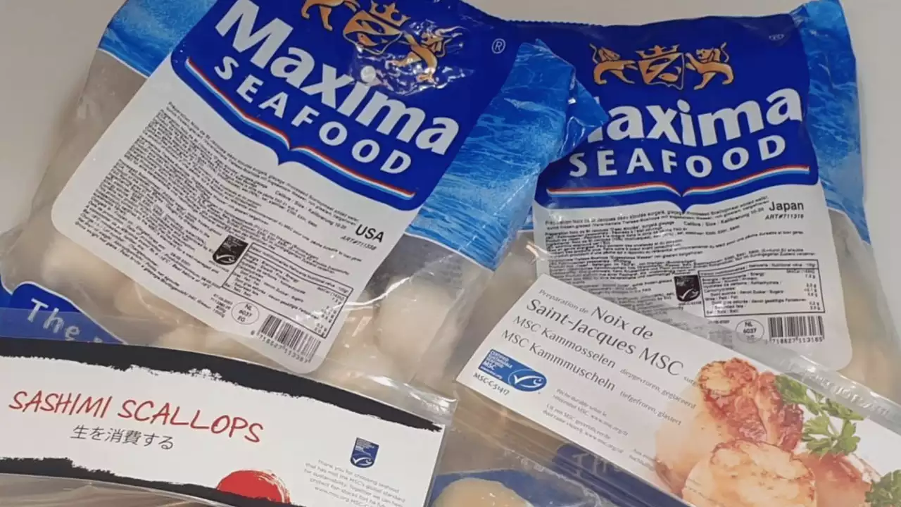 Nissui Secures Major Stake In Maxima Seafood, Eyes Rapid Expansion In ...