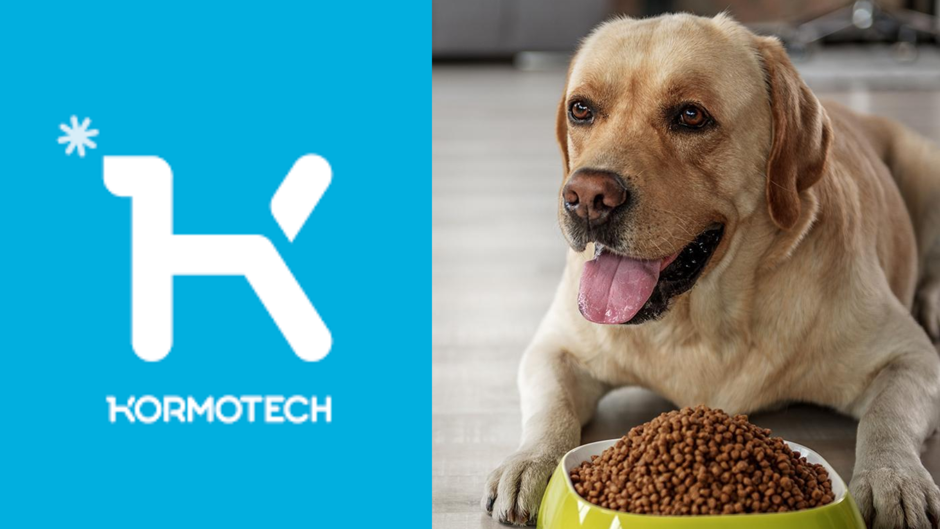 Ukrainian Pet-food Giant Kormotech Invests €60M To Boost Production In Lithuania - Snackfax