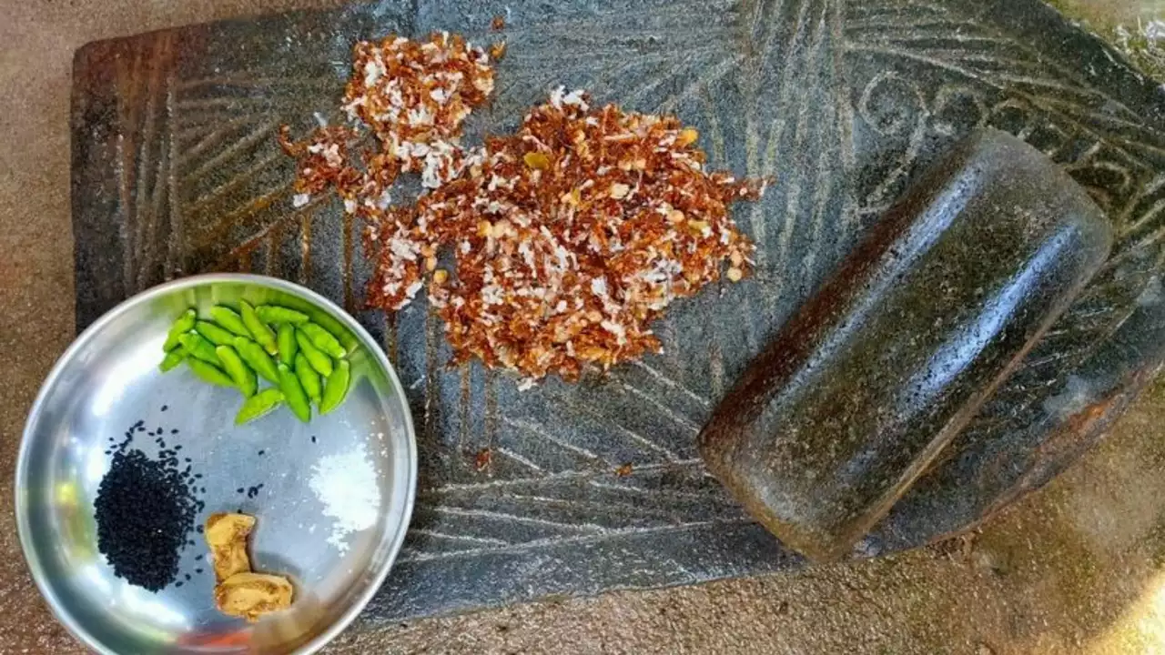 Odisha's Red Ant Chutney Officially Recognized With GI Tag - Snackfax