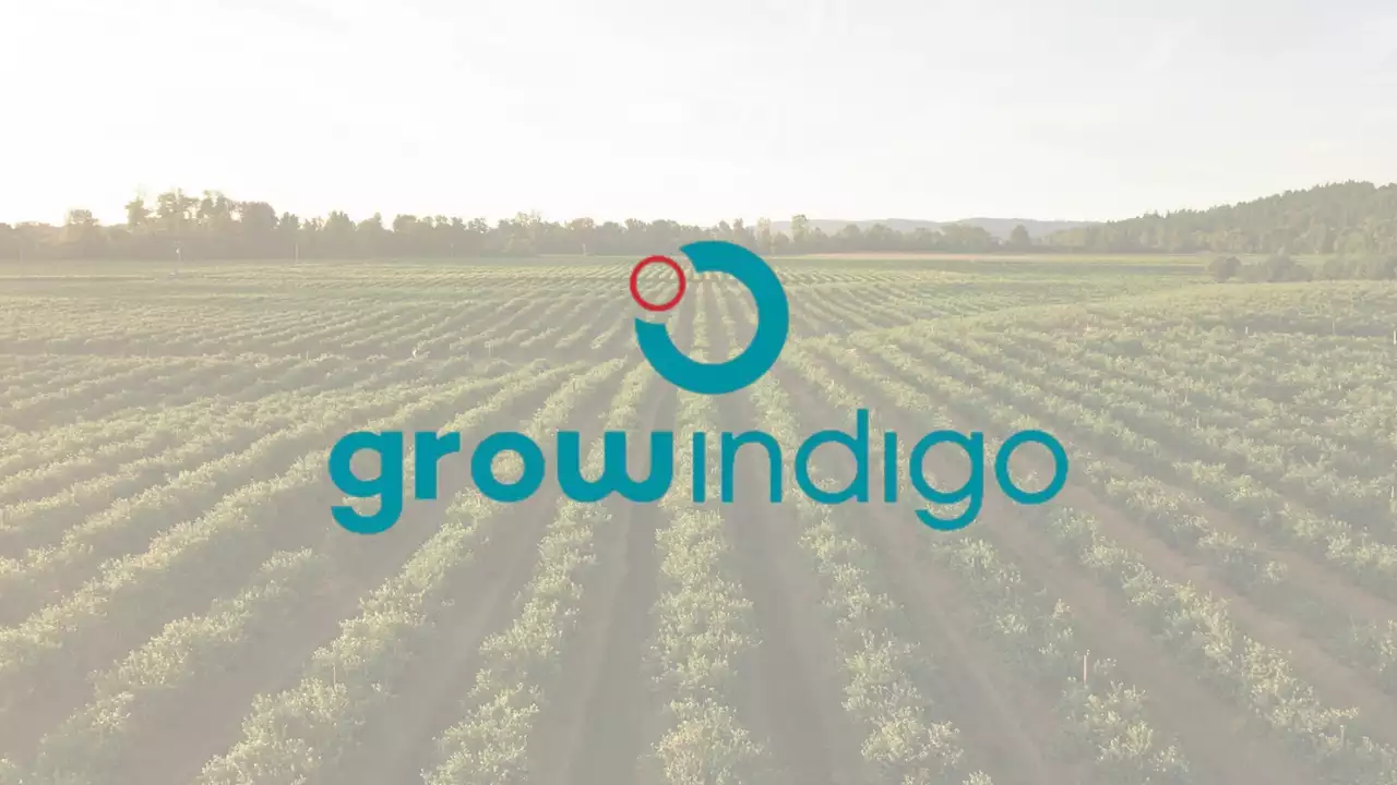 Agritech Startup Grow Indigo Secures $8 Million In Funding To Fuel ...