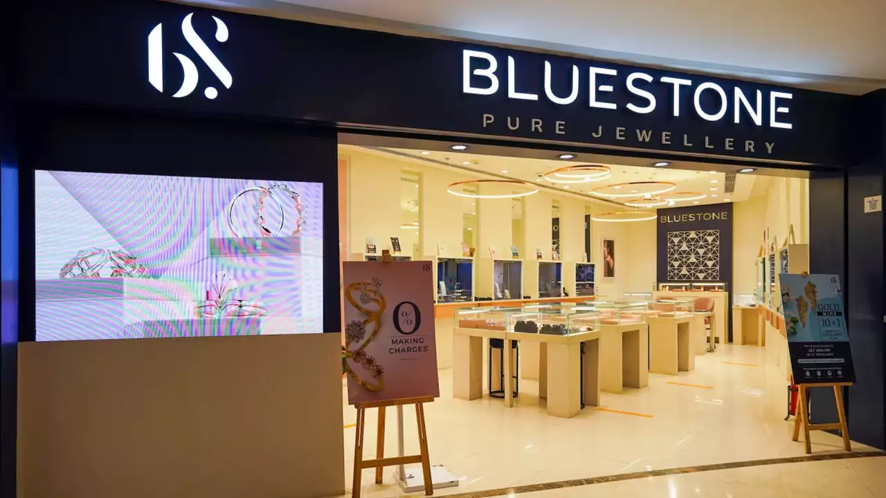 Bluestone's FY24 Revenue Up 64%, Losses Narrow Despite Rising Expenses ...
