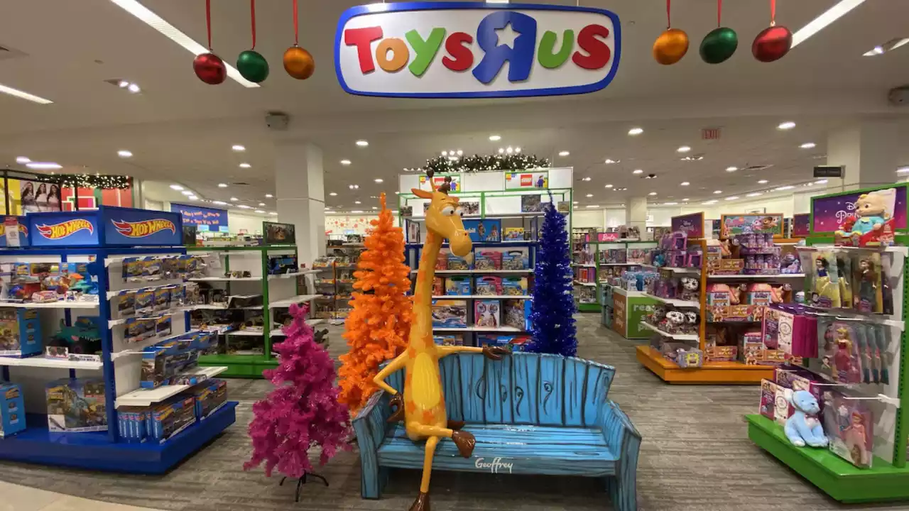 Toys“R”Us India Leverages BIS To Launch Locally Manufactured Toys By ...