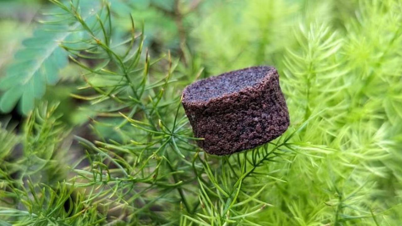 IISc Develops Eco-friendly, Recyclable Foam For FMCG Packaging - Snackfax