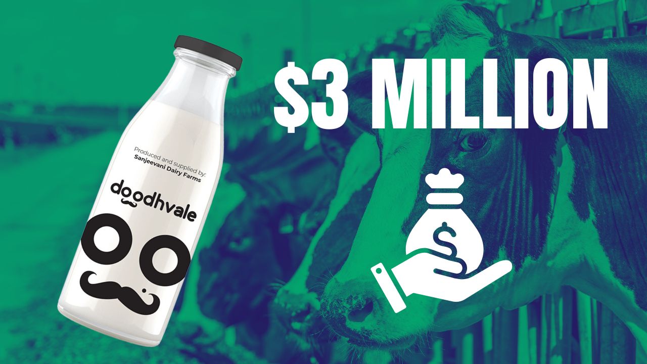 Doodhvale Farms Net $3 Mn Funding To Expand Dairy Business - Snackfax
